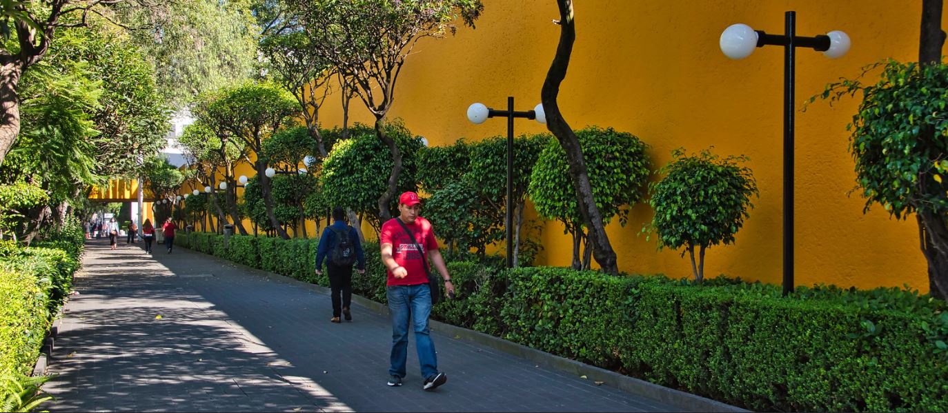 Guía completa de viaje a Polanco CDMX | 🔥