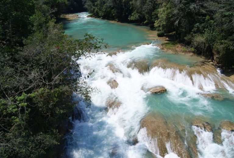 Selva Lacandona: Todo lo que necesitas saber para visitarla 🌳👀